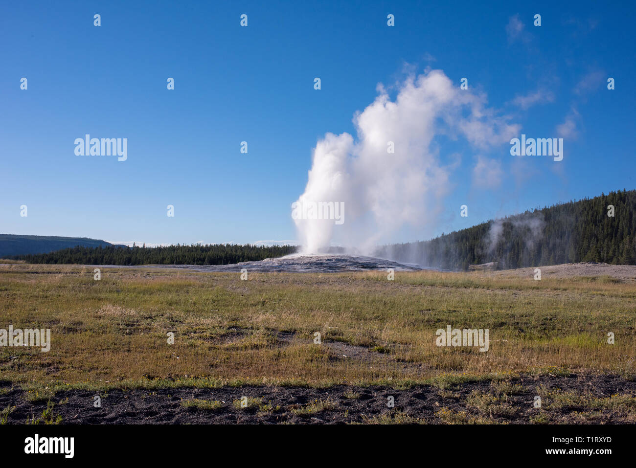Yellowstone National Park is located in Wyoming, Montana, and Idaho. It ...