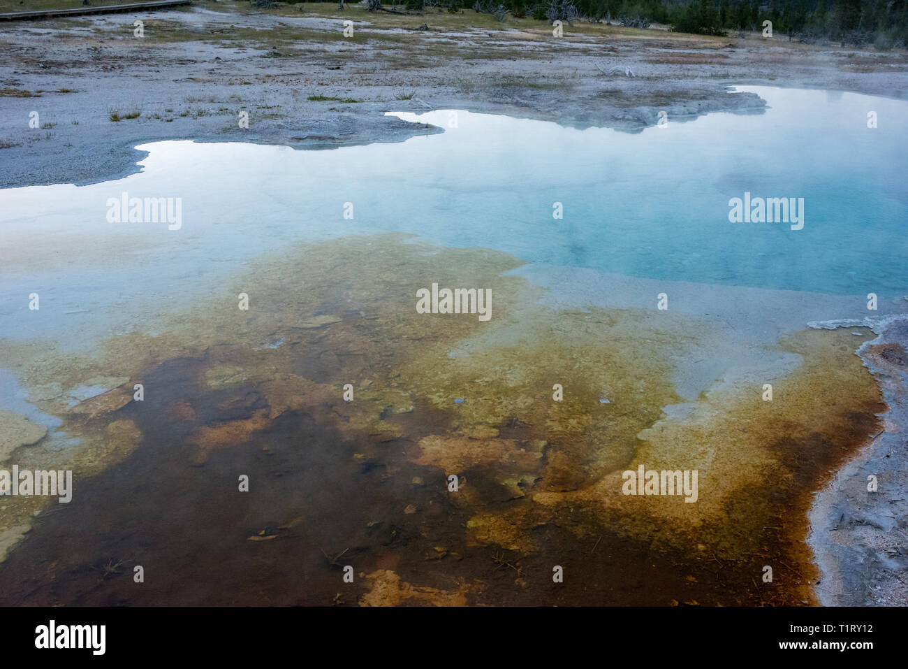 Yellowstone National Park is located in Wyoming, Montana, and Idaho. It ...