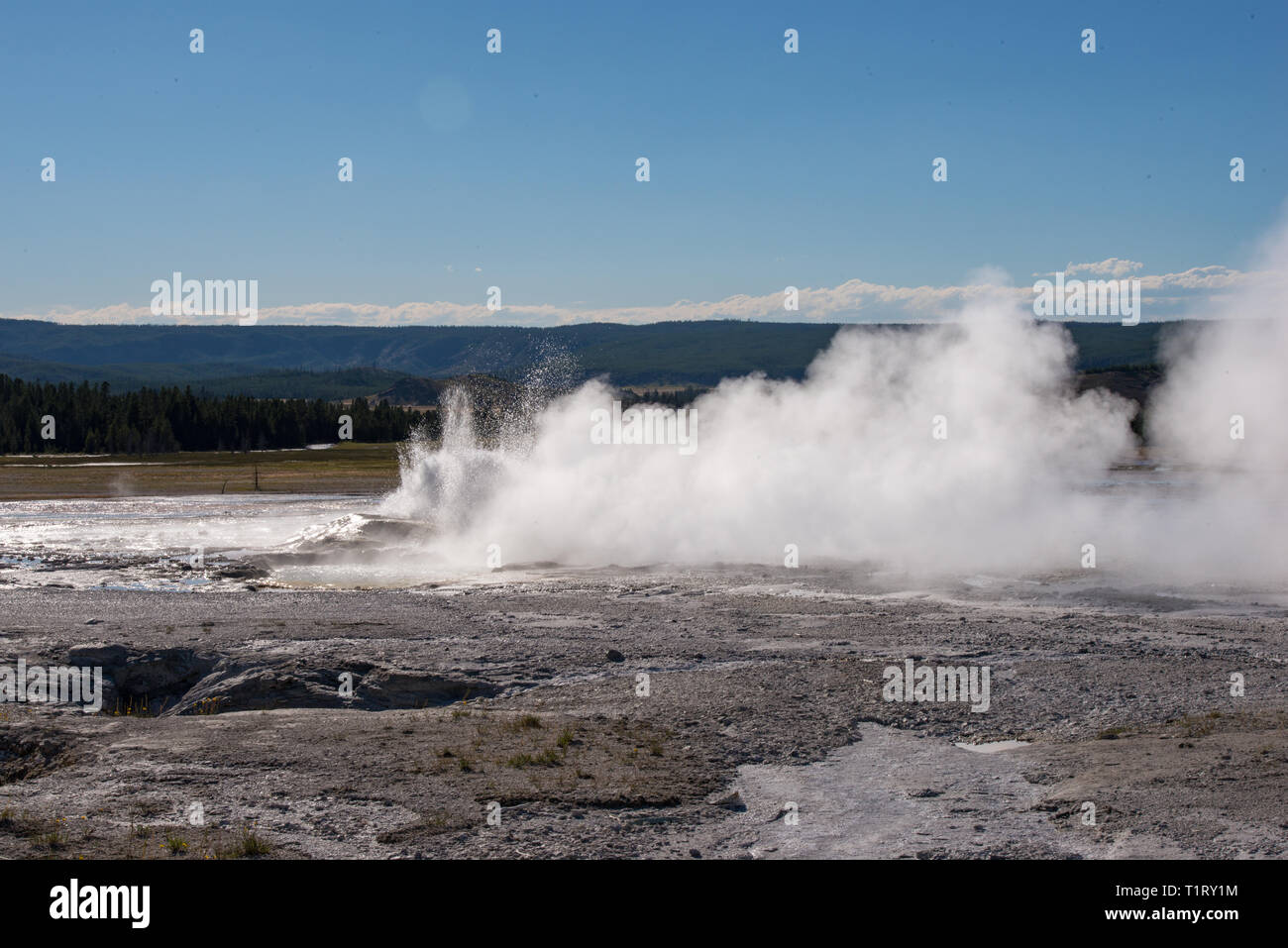 Yellowstone National Park is located in Wyoming, Montana, and Idaho. It ...