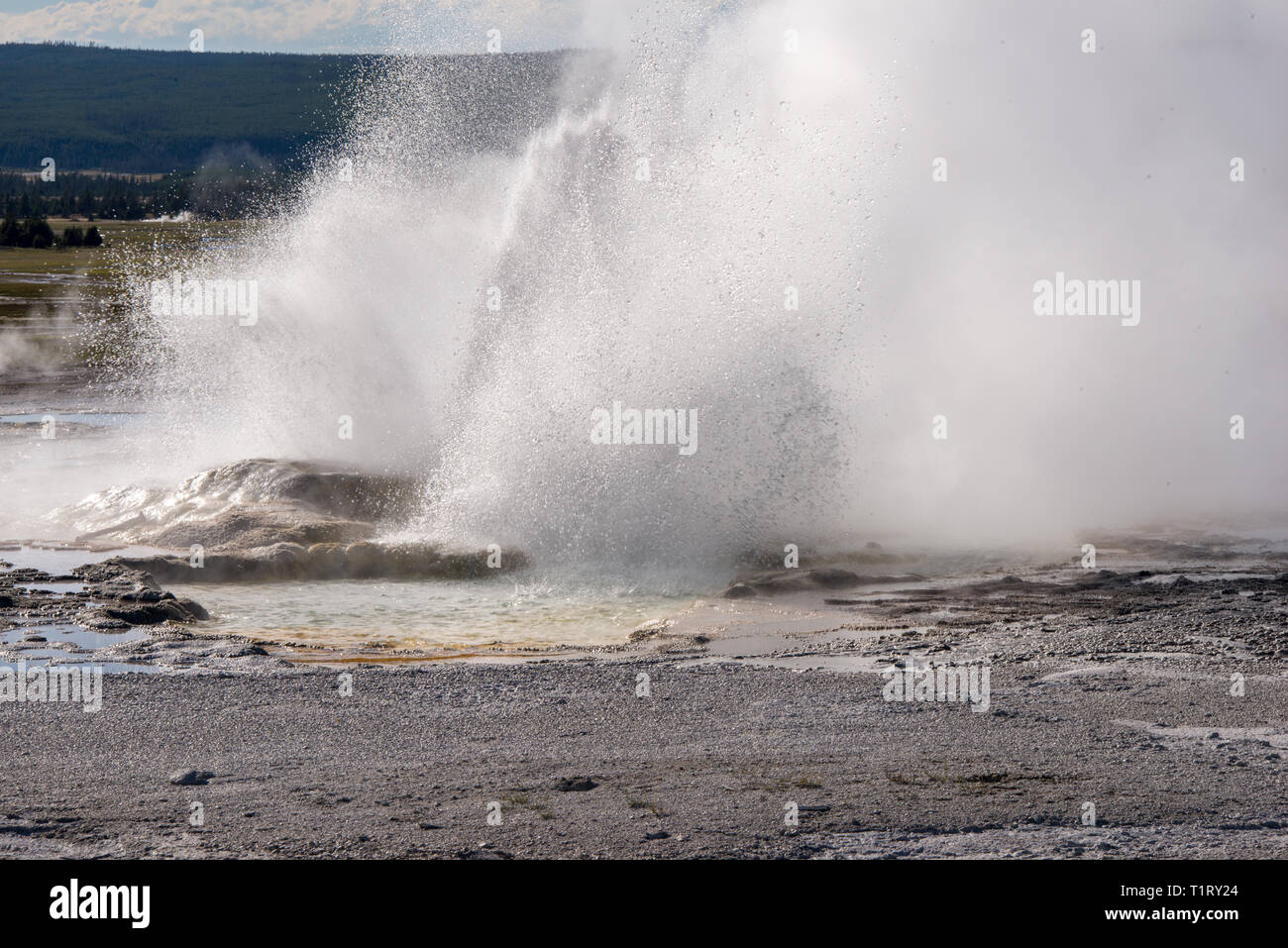 Yellowstone National Park is located in Wyoming, Montana, and Idaho. It ...