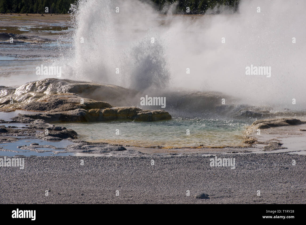 Yellowstone National Park is located in Wyoming, Montana, and Idaho. It ...