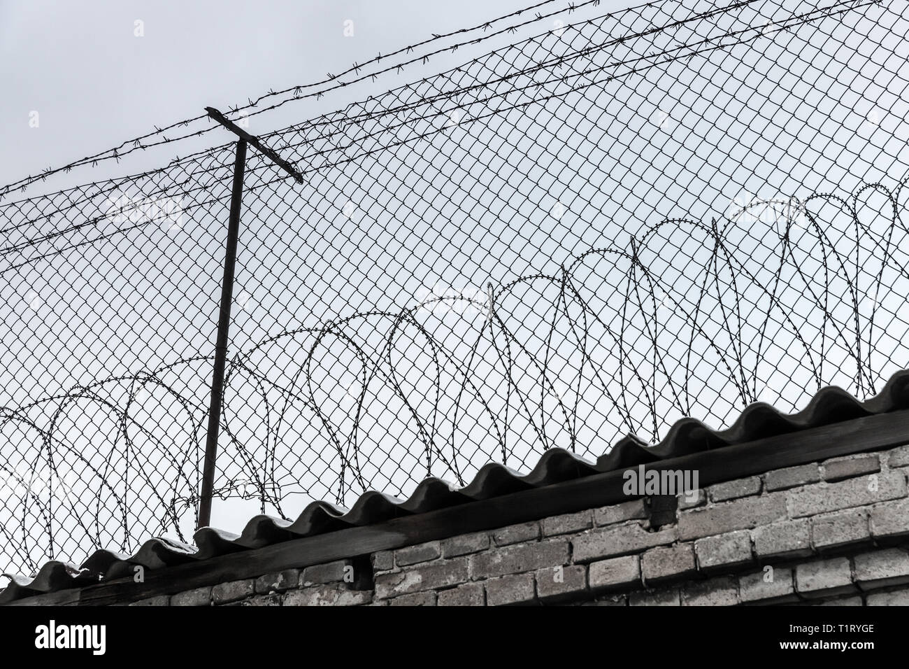 Old barbed wire fence on gray brick wall Stock Photo - Alamy