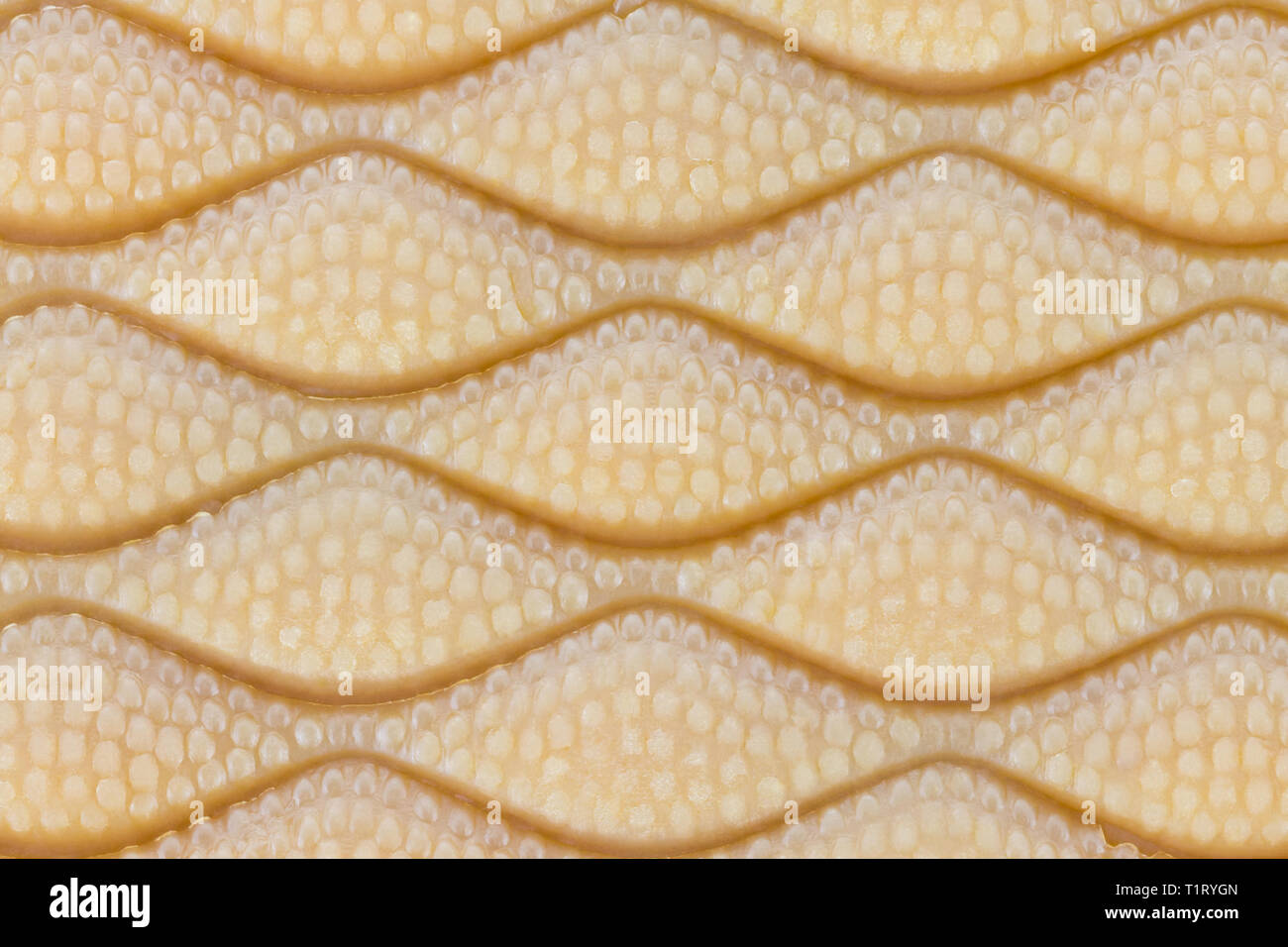 Shoes Outsole Pattern Zoom View. Rubber outsole of shoe texture ...