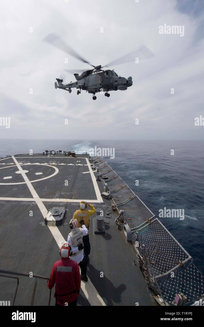 Aw159 wildcat hi-res stock photography and images - Alamy