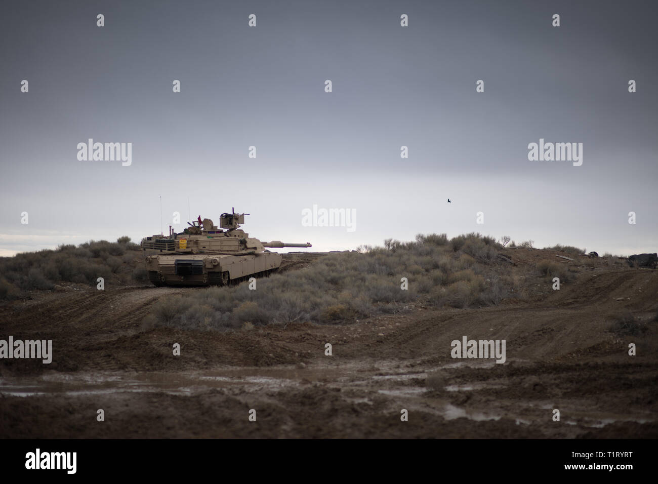 116 cavalry brigade combat team hi-res stock photography and images - Alamy