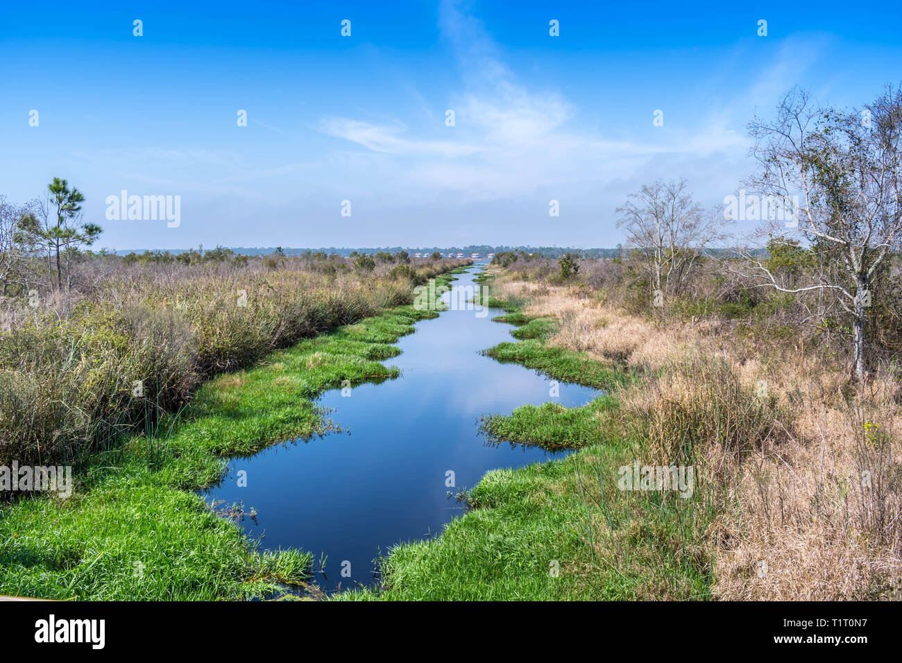 A narrow stream of water in Gulf Shores, Alabama Stock Photo - Alamy