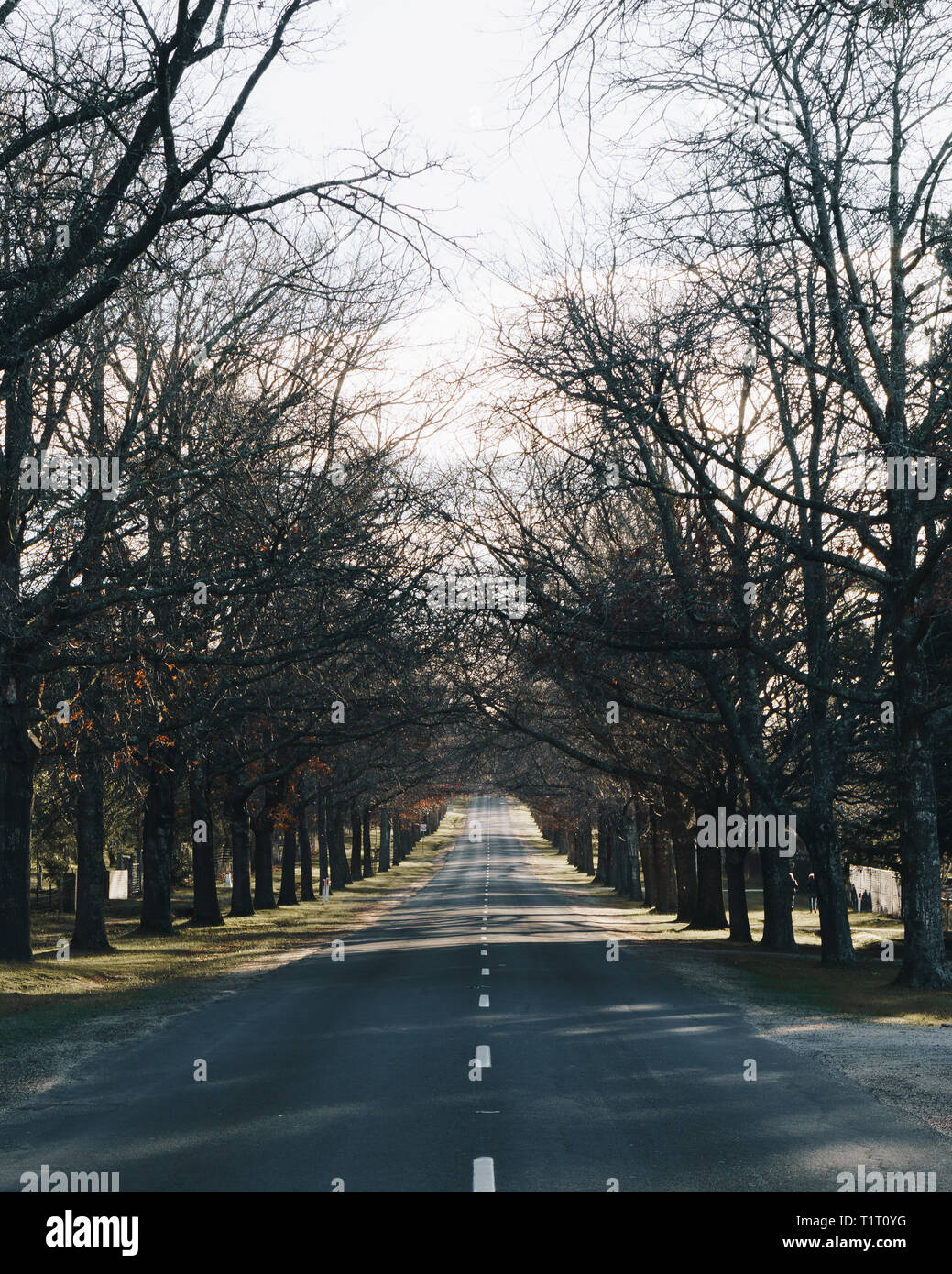 Macedon ranges hi-res stock photography and images - Alamy