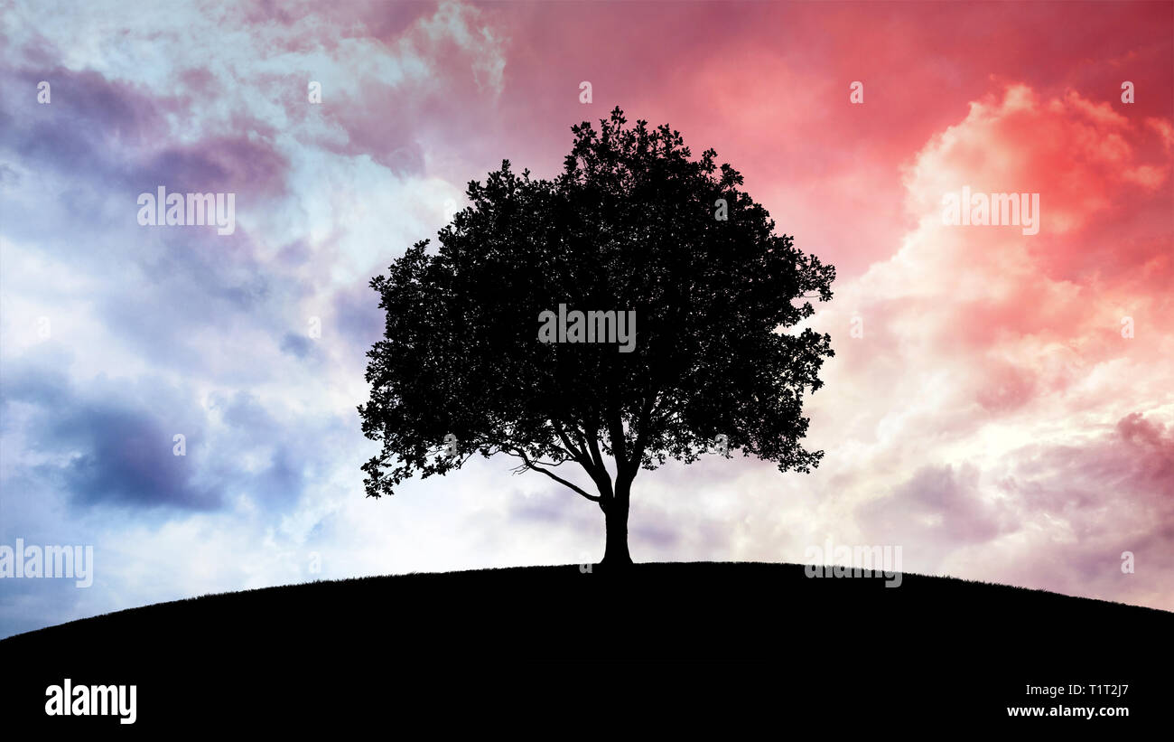 Transcendent sunset hi-res stock photography and images - Alamy