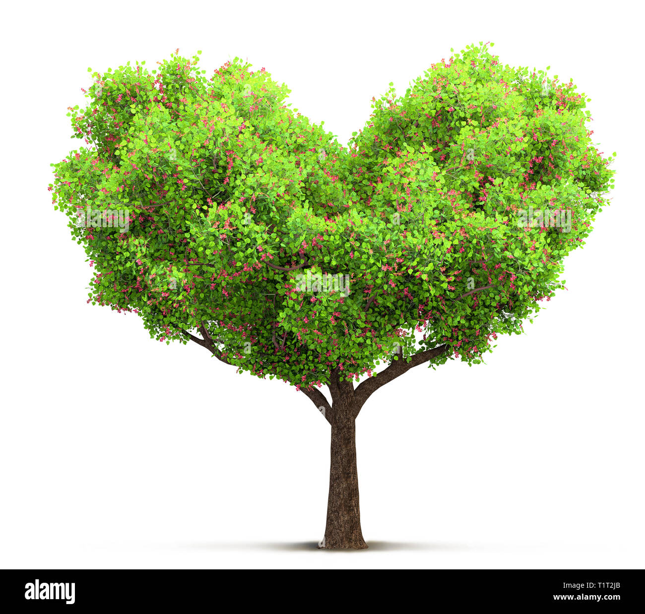 Tree in shape heart Cut Out Stock Images & Pictures - Alamy