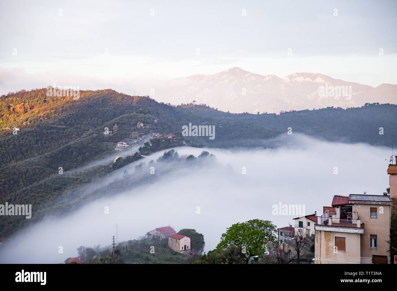 Panoramic top view of Alps mountains in fog and clouds, valley in ...