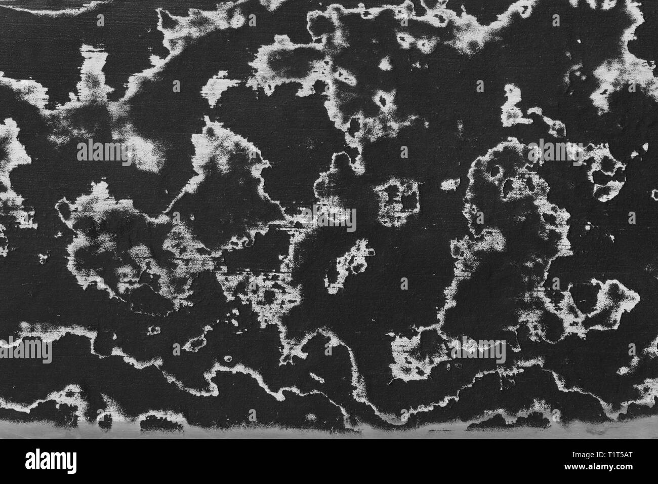 Damask damascus Black and White Stock Photos & Images - Alamy