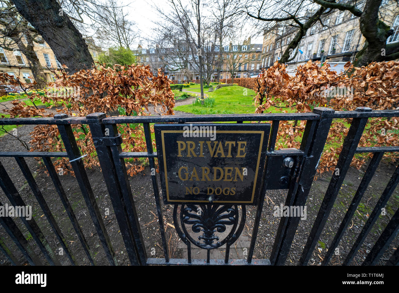 Edinburgh rutland square hi-res stock photography and images - Alamy