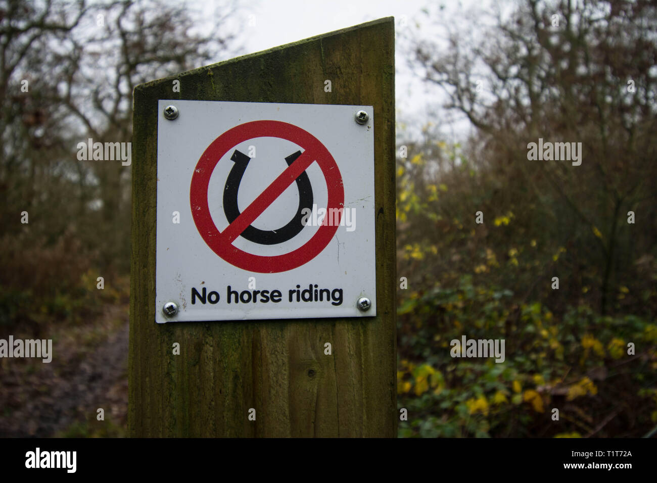 No horse riding sign in Salcey Forest Northamptonshire UK Stock Photo ...
