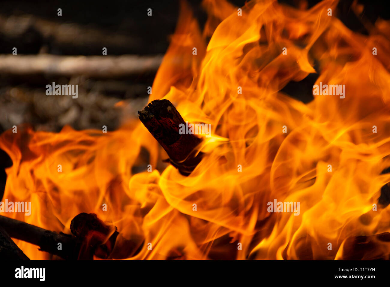 Wood in fire Stock Photo - Alamy