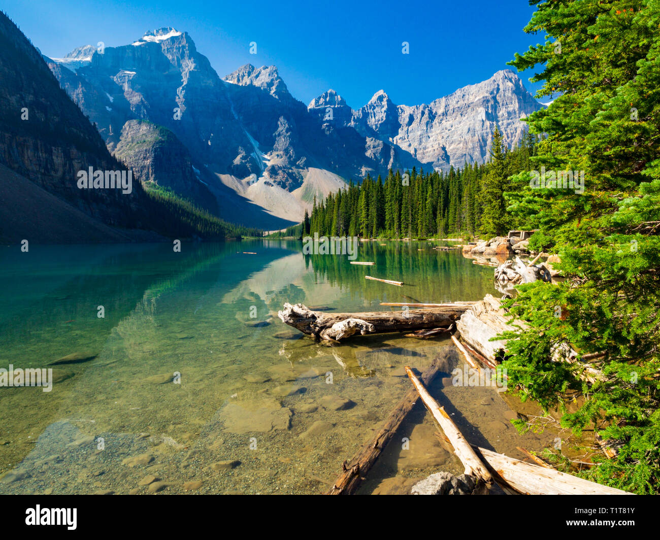 Banff trees mountains hi-res stock photography and images - Alamy