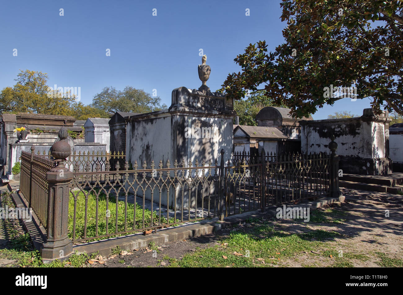 The vampire of lafayette cemetery hi-res stock photography and images ...