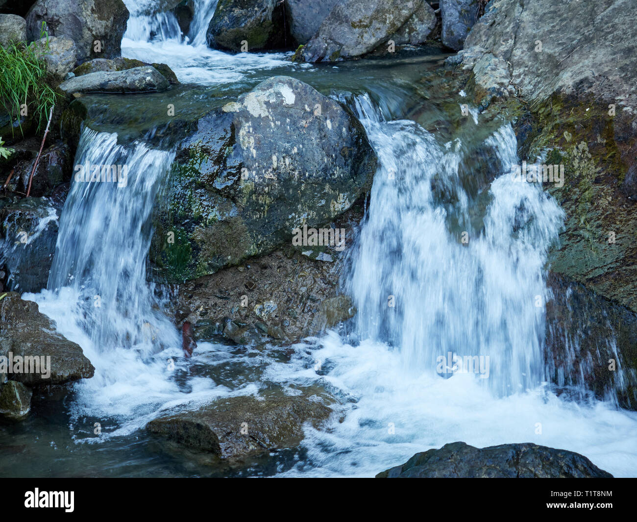 A powerful mountain stream flows down from the rocks and stones. Green ...