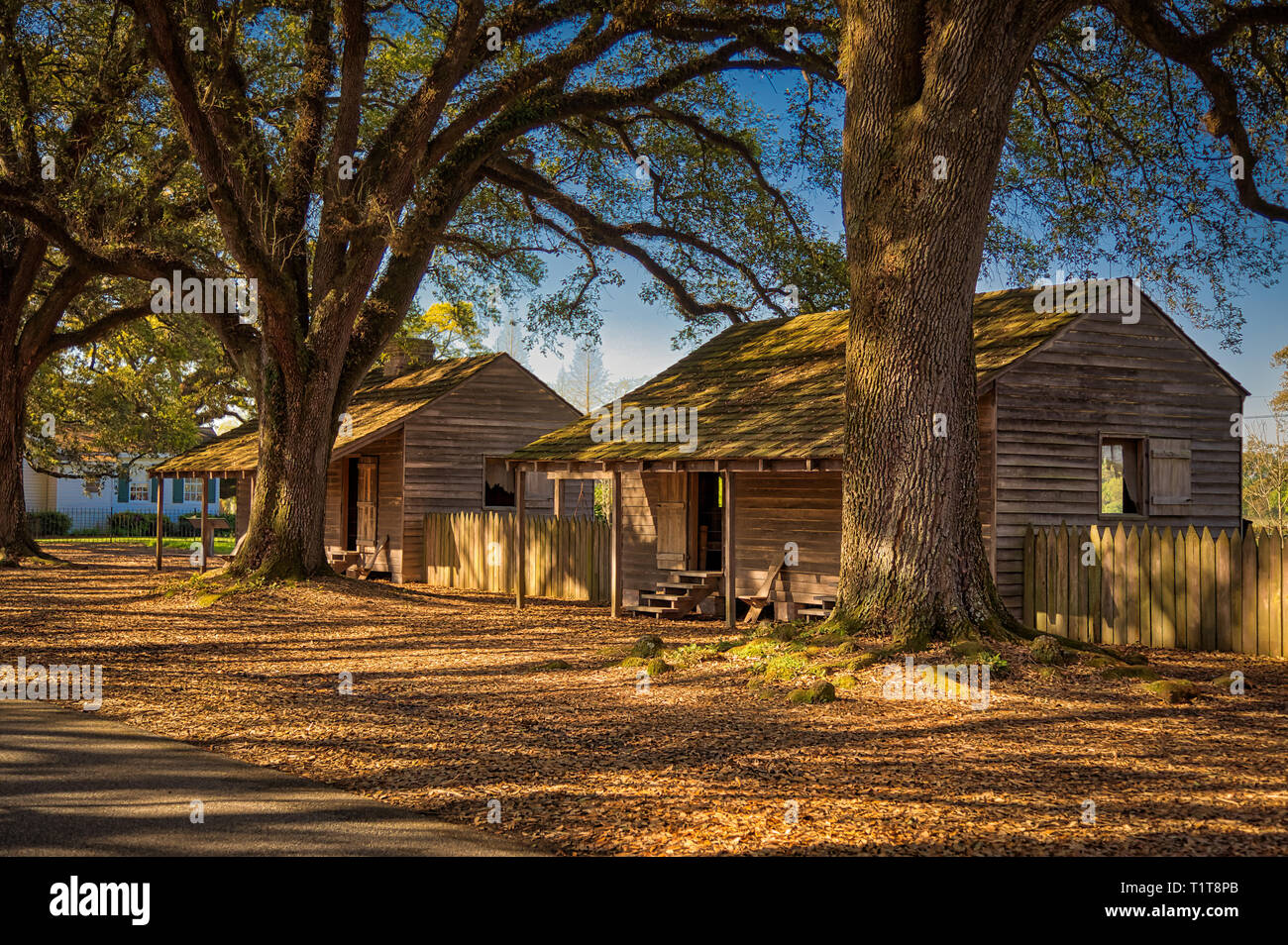 oak alley plantation Stock Photo - Alamy