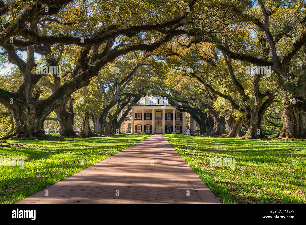 oak alley plantation Stock Photo - Alamy