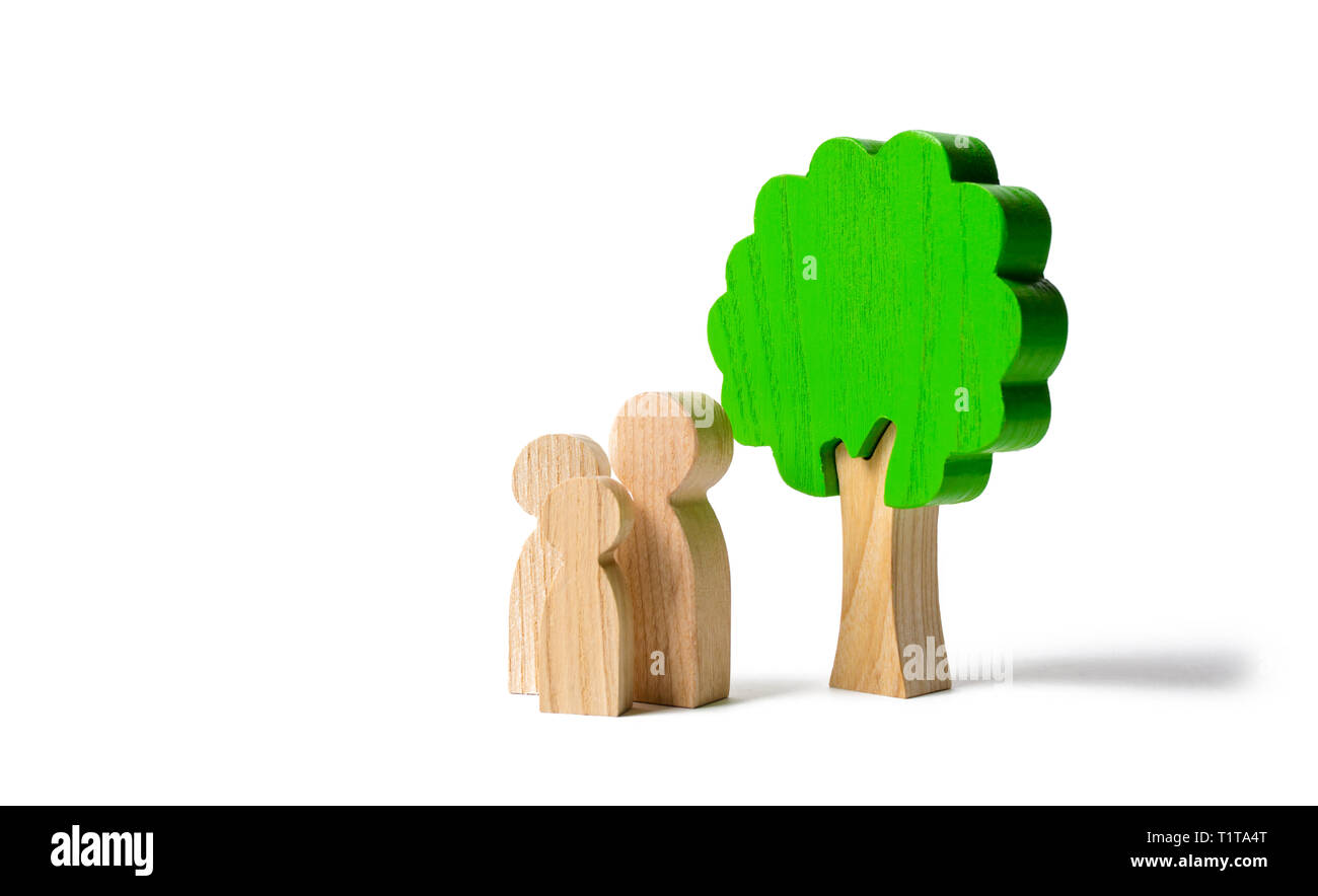 Family tree genealogy Cut Out Stock Images & Pictures - Alamy