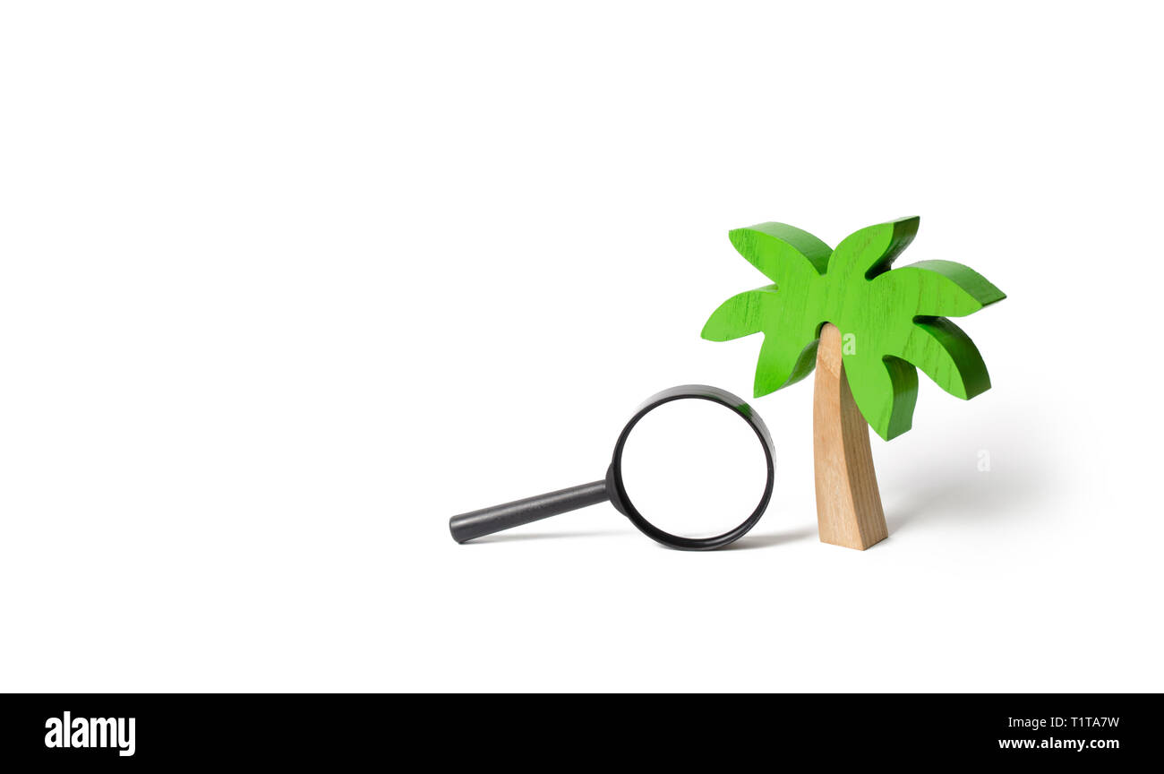 Wooden palm tree and a magnifying glass on an isolated background ...