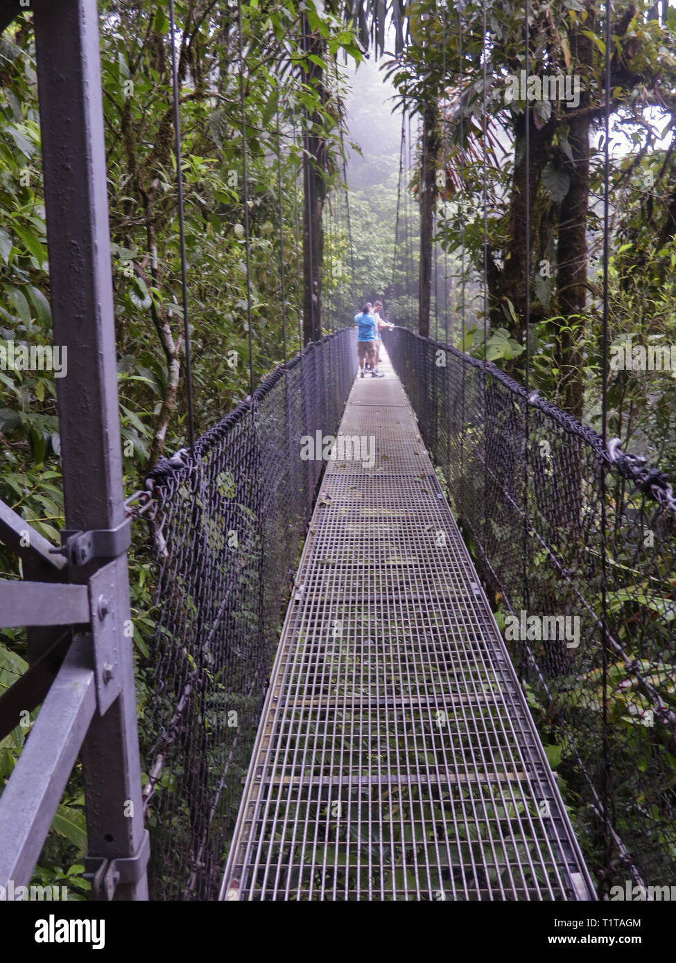 Rickety rope bridge hi-res stock photography and images - Alamy