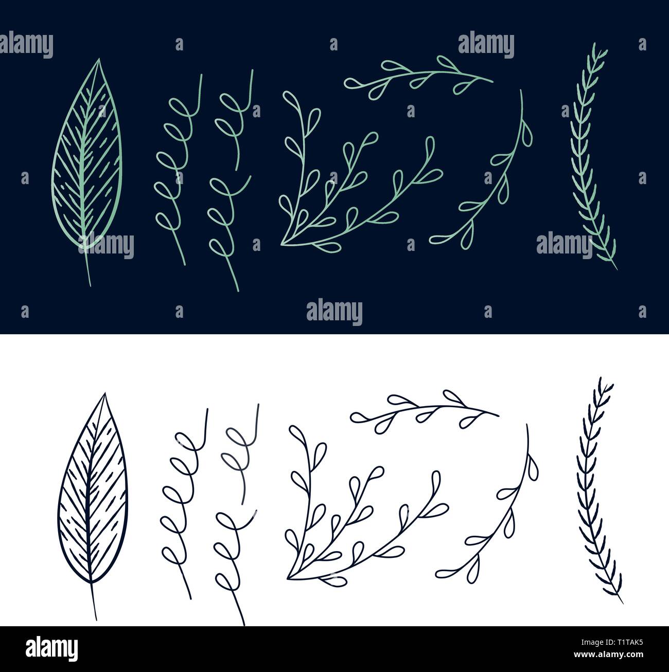 Hand sketched floral design elements, flowers and leaves for text ...