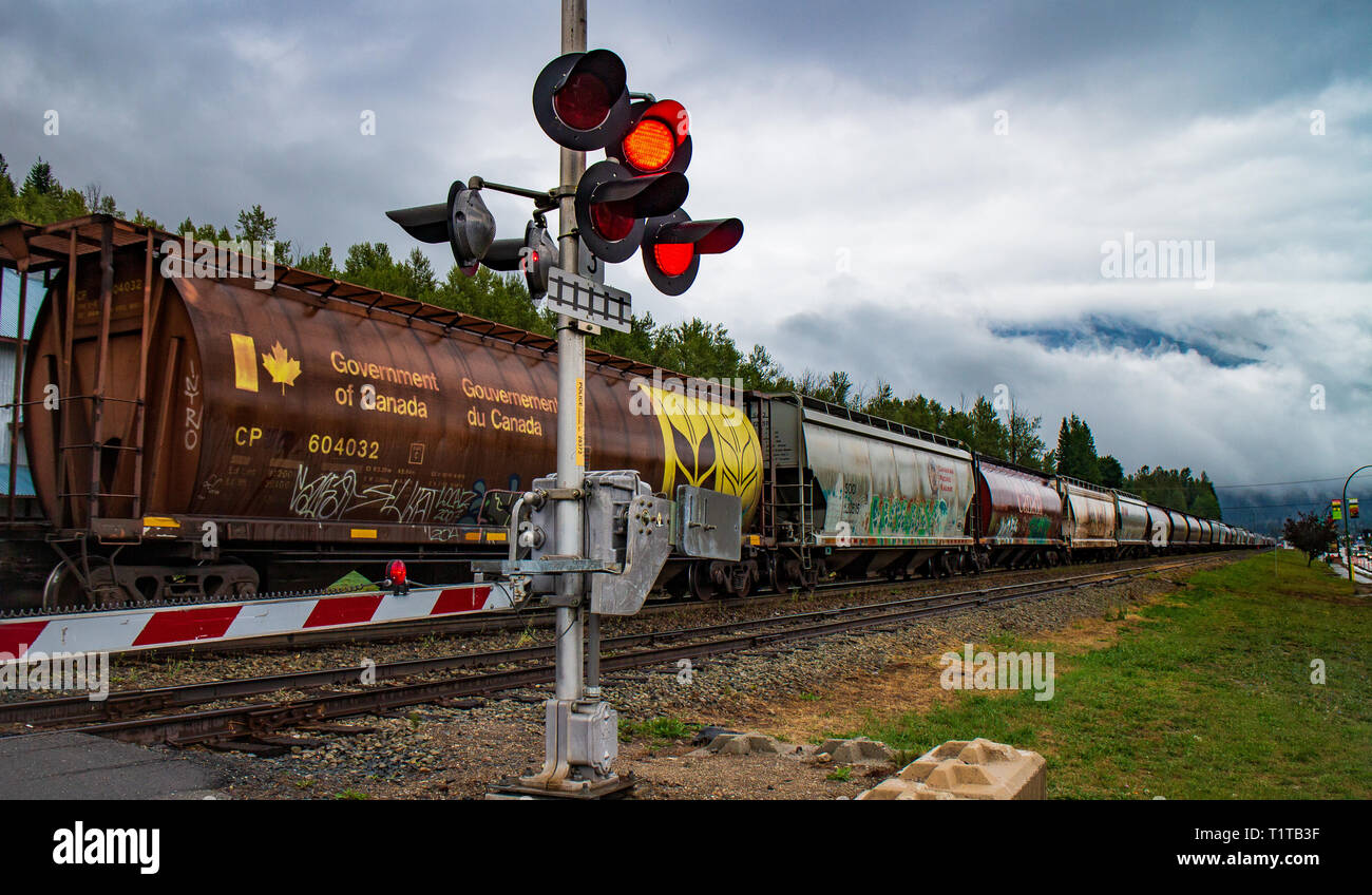 Long goods train crossing crossing with signals operating. Canada Stock ...