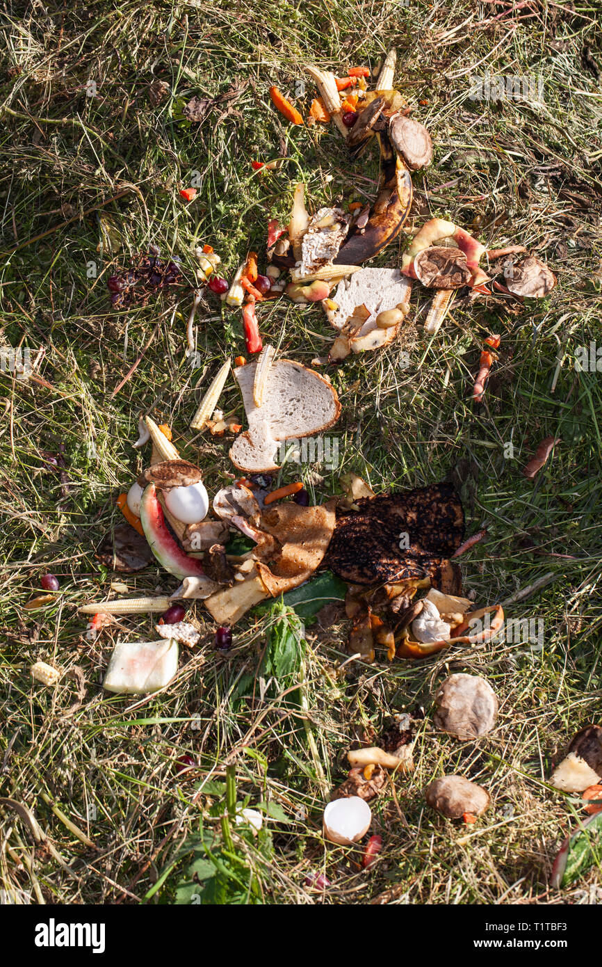scraps of food for compost, top view Stock Photo - Alamy