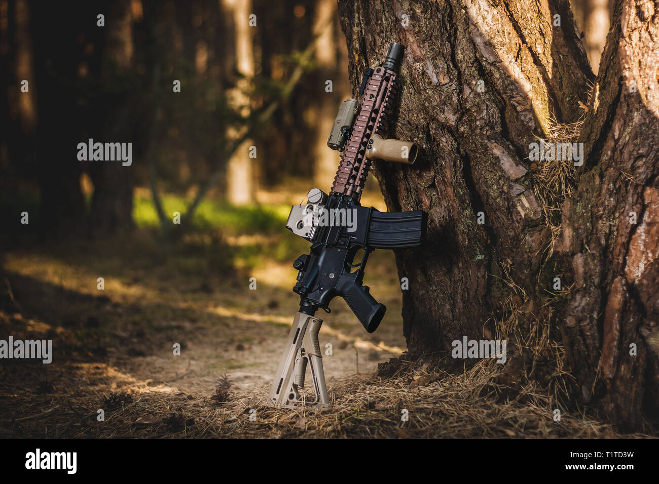 assault rifle leaning against a tree in the forest Stock Photo - Alamy