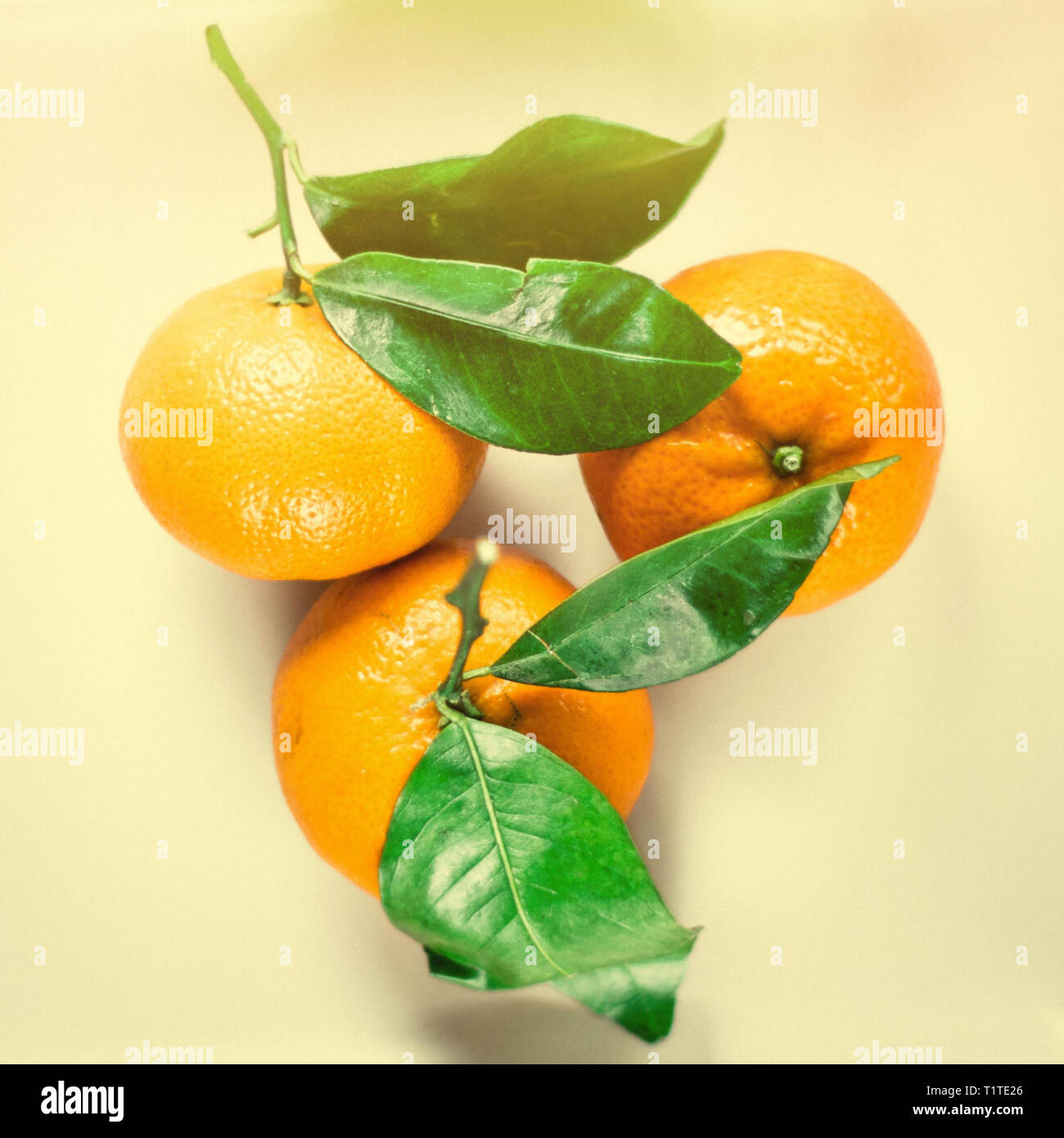 Ripe juicy mandarines in vintage style - retro still life and healthy ...