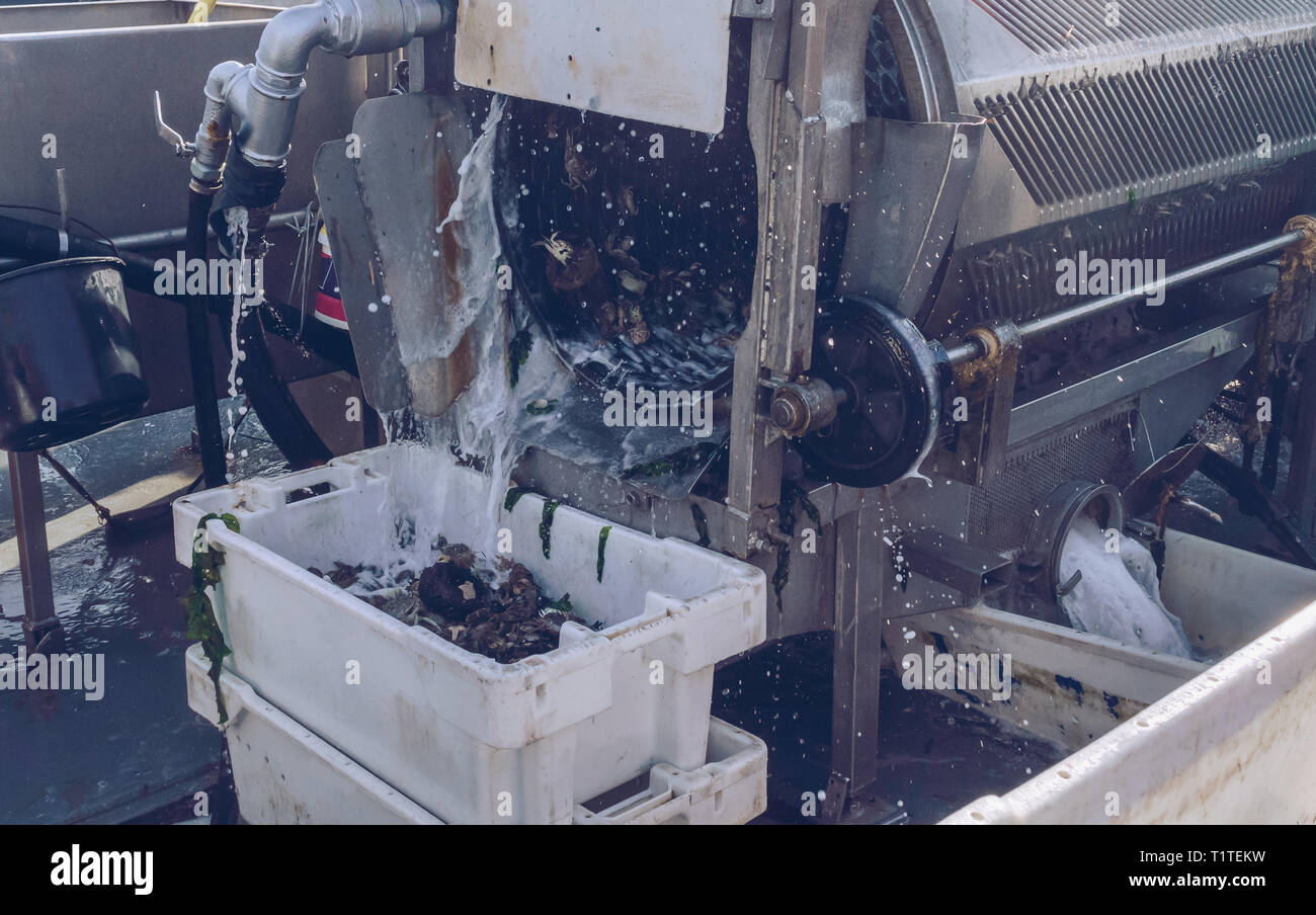 technology used on fishing trawler to clean, sort and boil caught ...