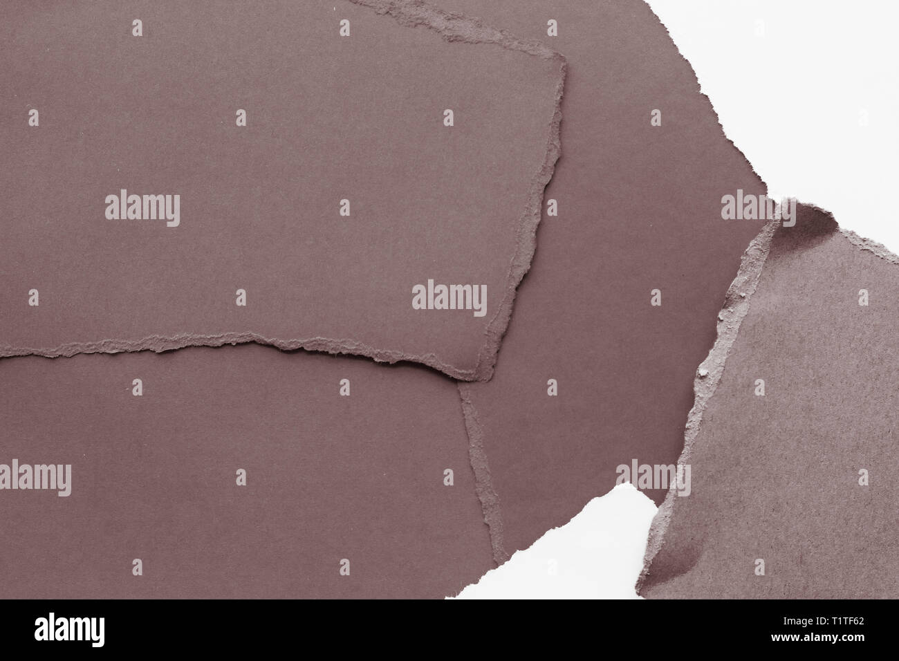 Torn paper texture as background. Creativity takes time Stock Photo - Alamy