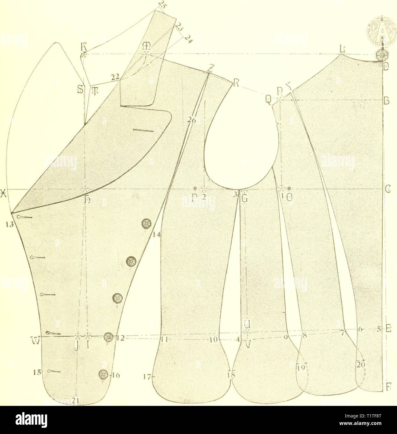 New superlative system of cutting ladies' garments, based upon a ...