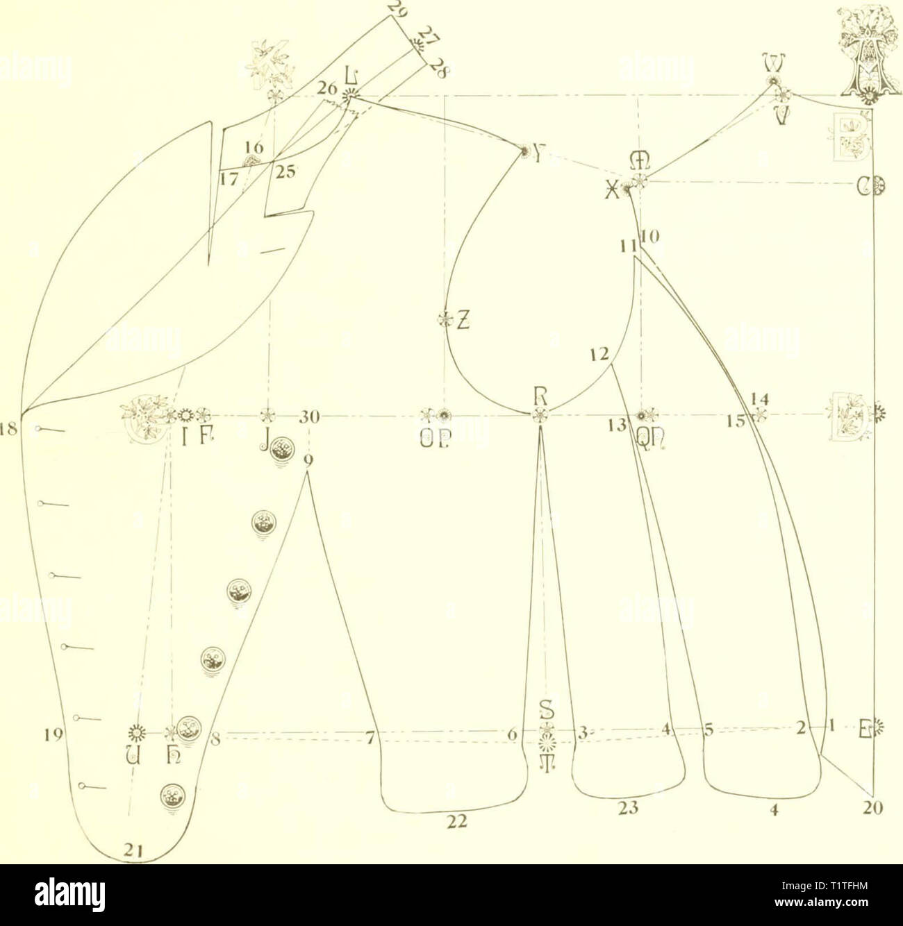 New superlative system of cutting ladies' garments, based upon a ...