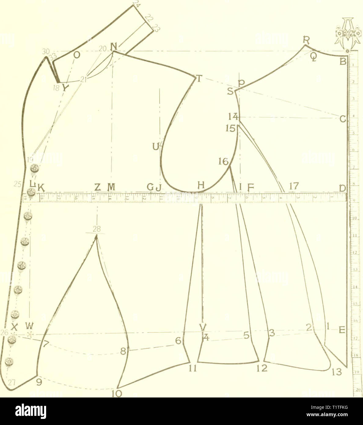New superlative system of cutting ladies' garments, based upon a ...