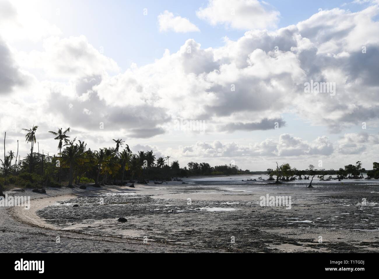 Quirimba Island, Quirimbas Archipelago, Mozambique, East Africa Stock ...