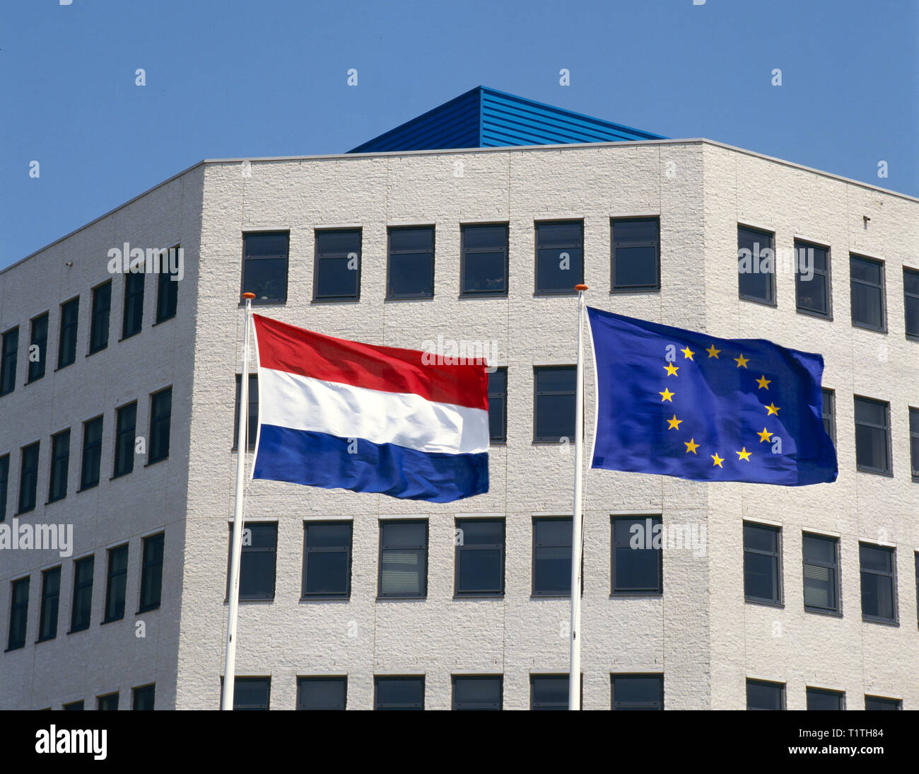 The Dutch national flag together with the flag of the European ...
