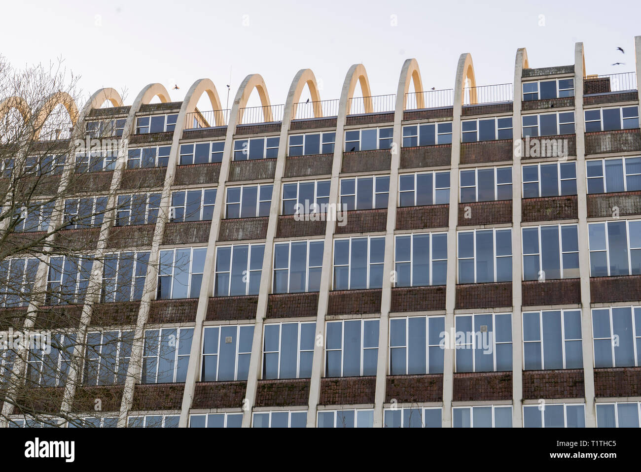 Toastrack fallowfield hi-res stock photography and images - Alamy