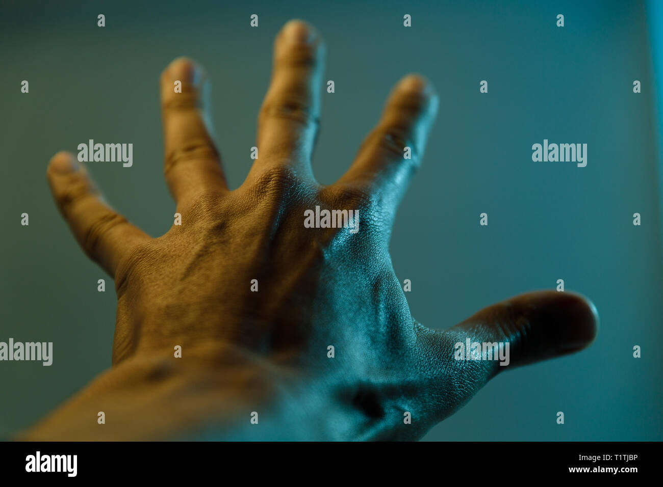 Human skin colors hi-res stock photography and images - Alamy