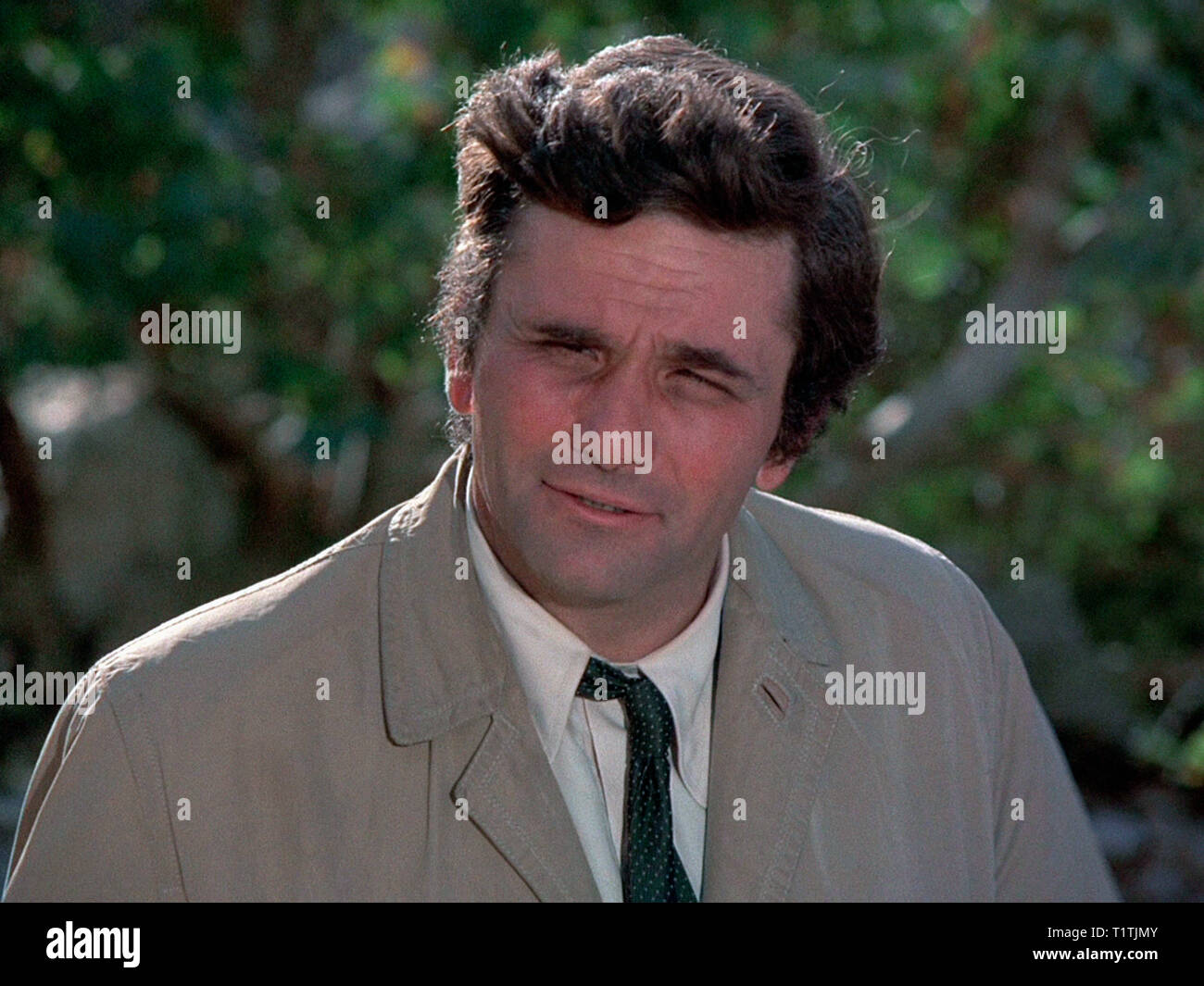 Columbo Tv Peter Falk Stock Photos & Columbo Tv Peter Falk Stock Images ...