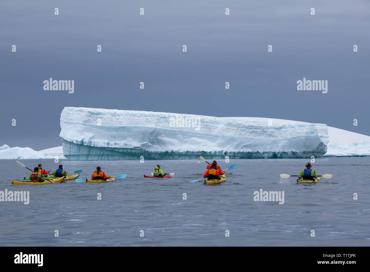 Charcot island hi-res stock photography and images - Alamy
