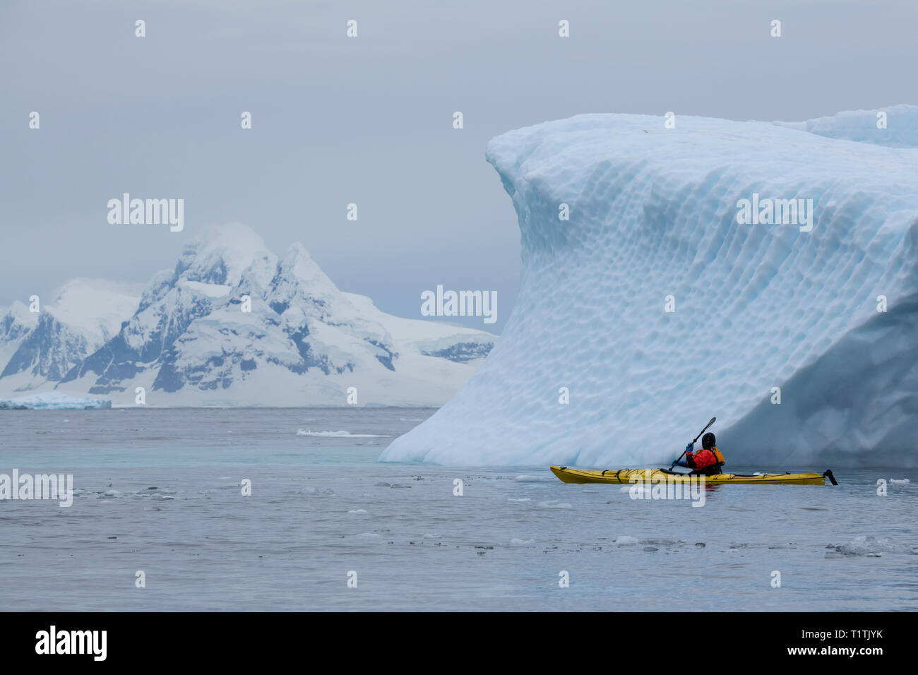 Antarctica. Port Charcot (Northern end of Booth Island) & Pleneau Bay ...