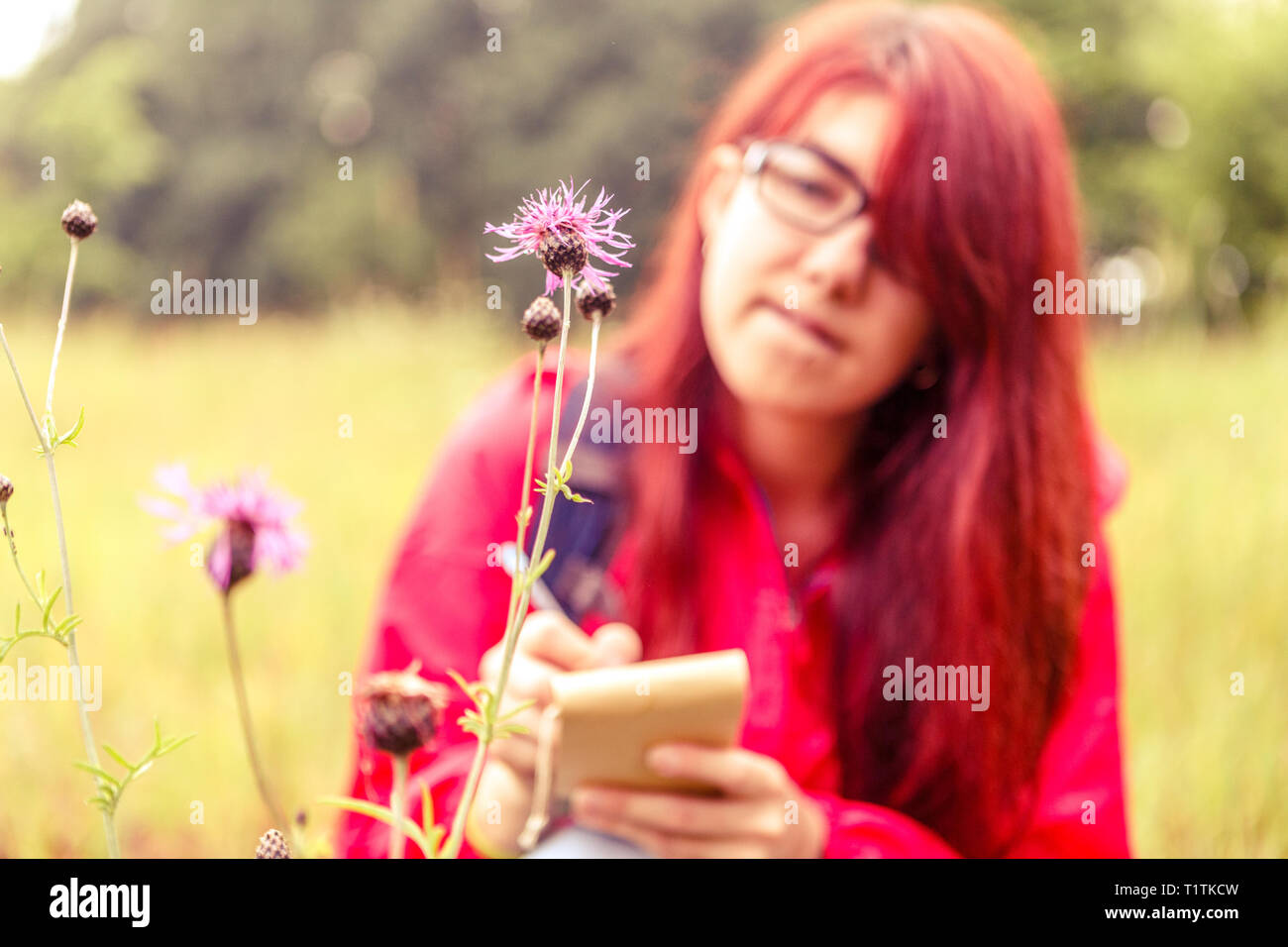 Field flower background of botanist Stock Photo - Alamy