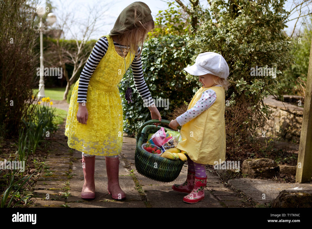 Groceries basket hi-res stock photography and images - Alamy