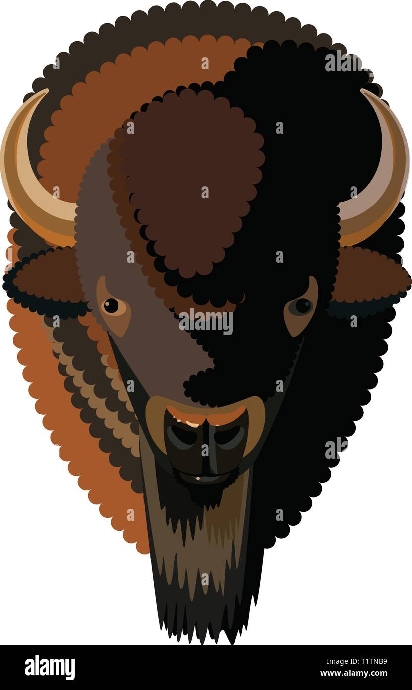 Bison Bull Head High Resolution Stock Photography and Images - Alamy