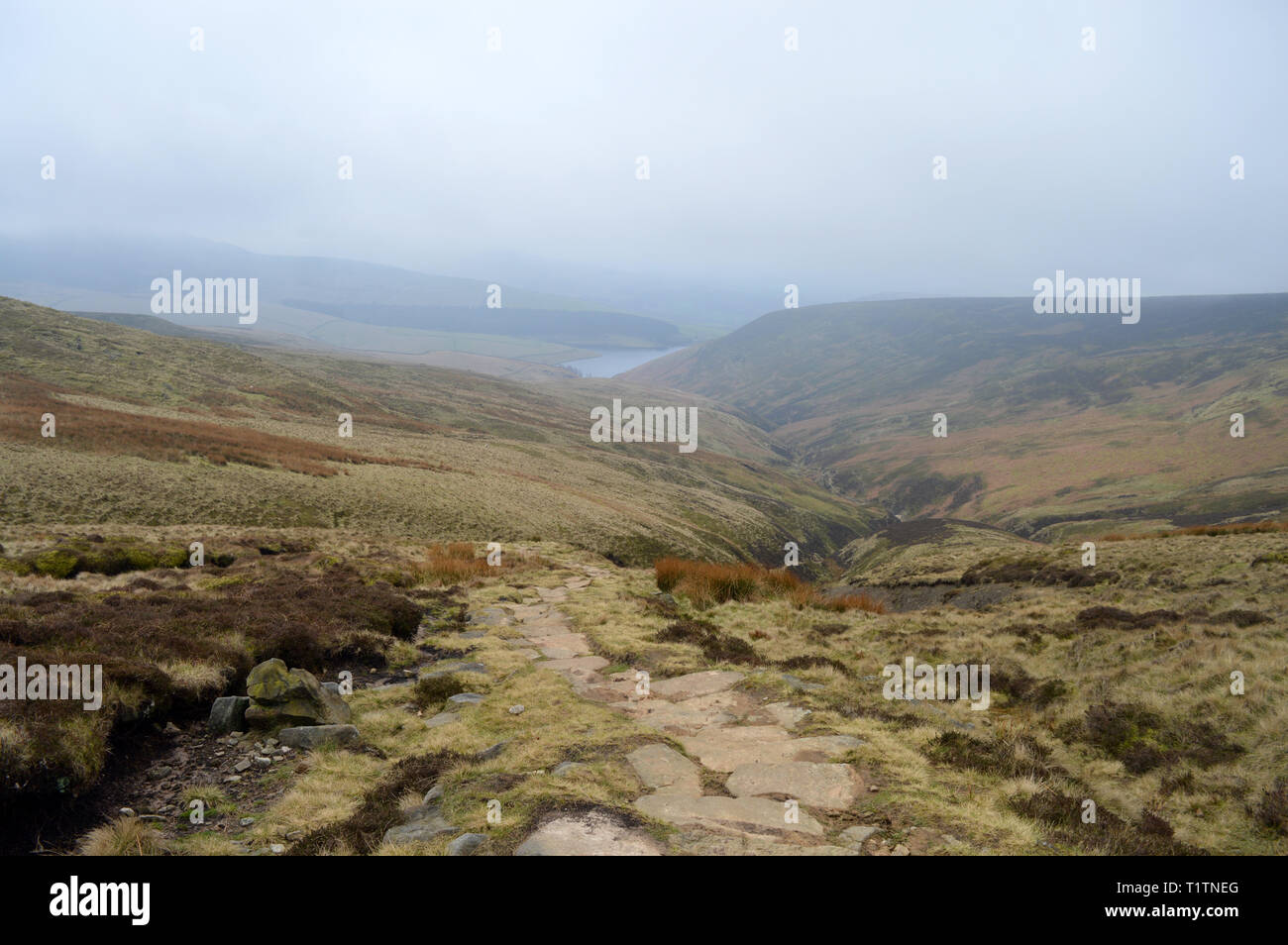 William Clough path and morning views overlooking Kinder Scout ...