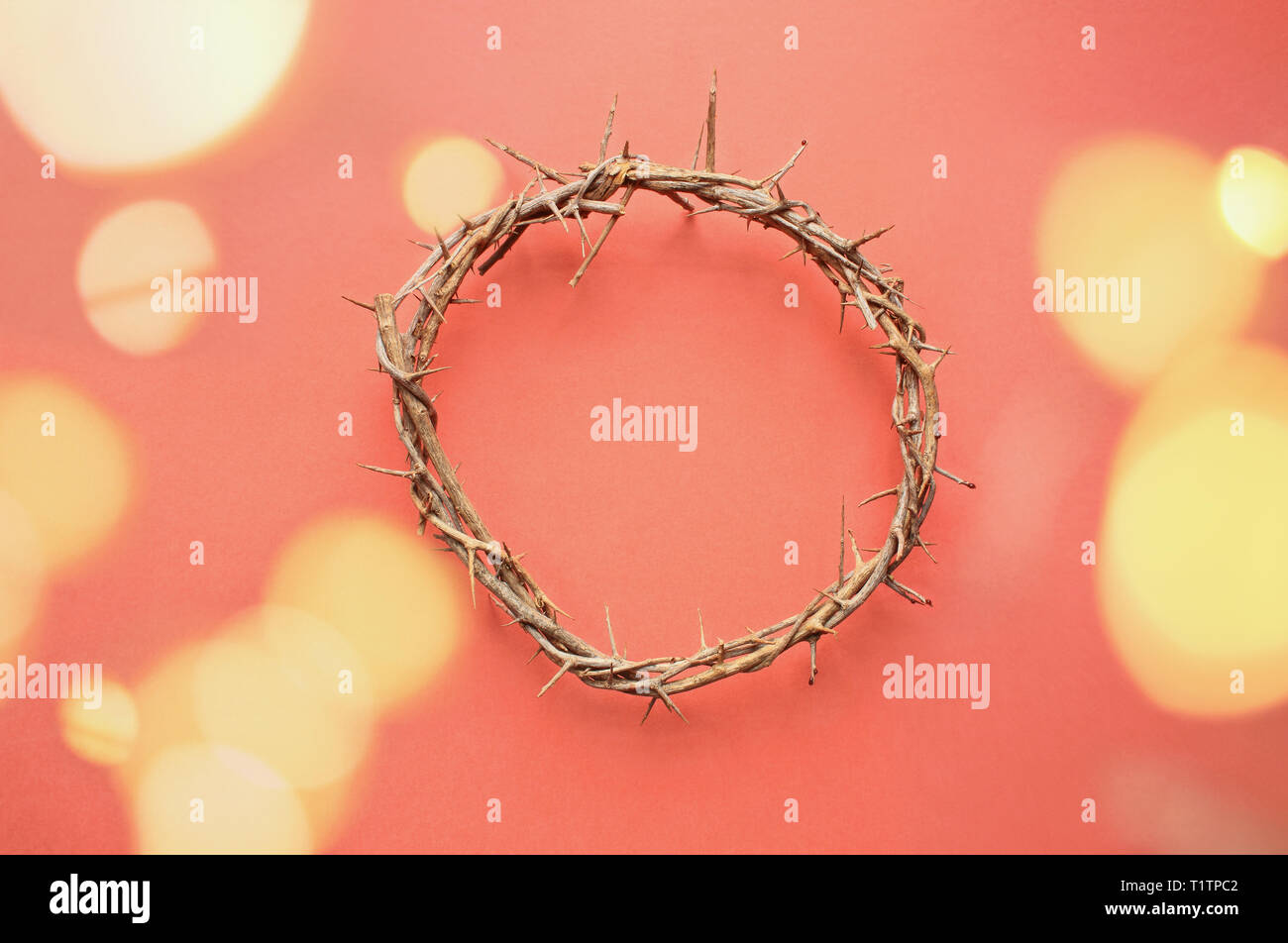 Crown of thorns like Jesus Christ wore with drops of blood on tips of ...