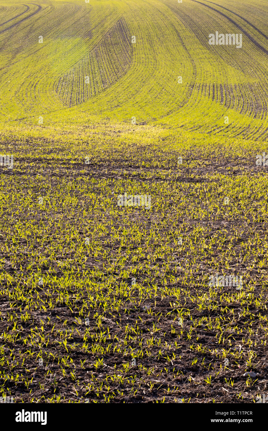 Sowed hi-res stock photography and images - Alamy