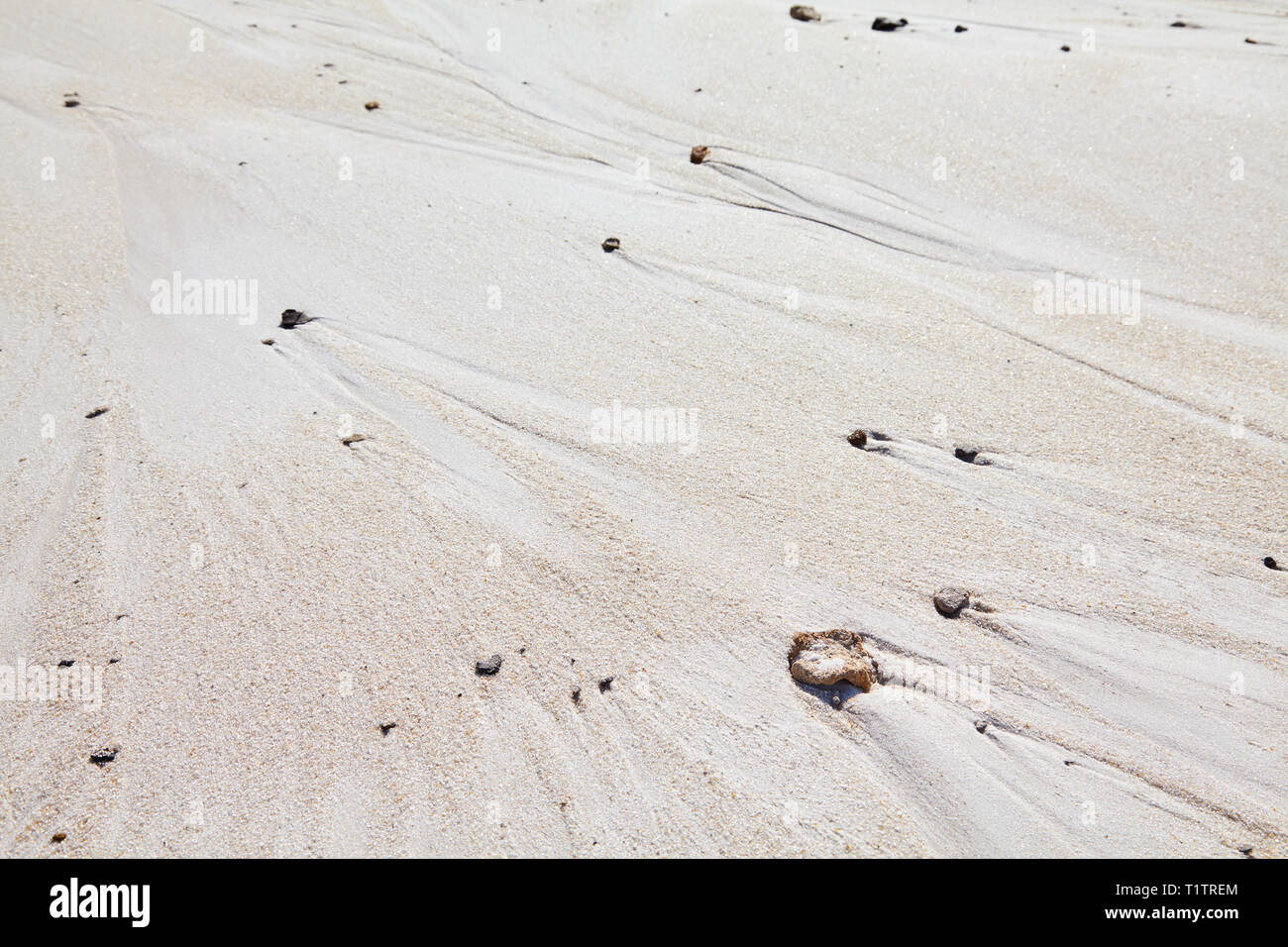 Sand quarry. Close up textures of sand dunes. Pure lake sand. Old sand ...